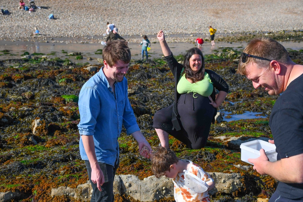 How to go rockpooling with the family | Kent Wildlife Trust
